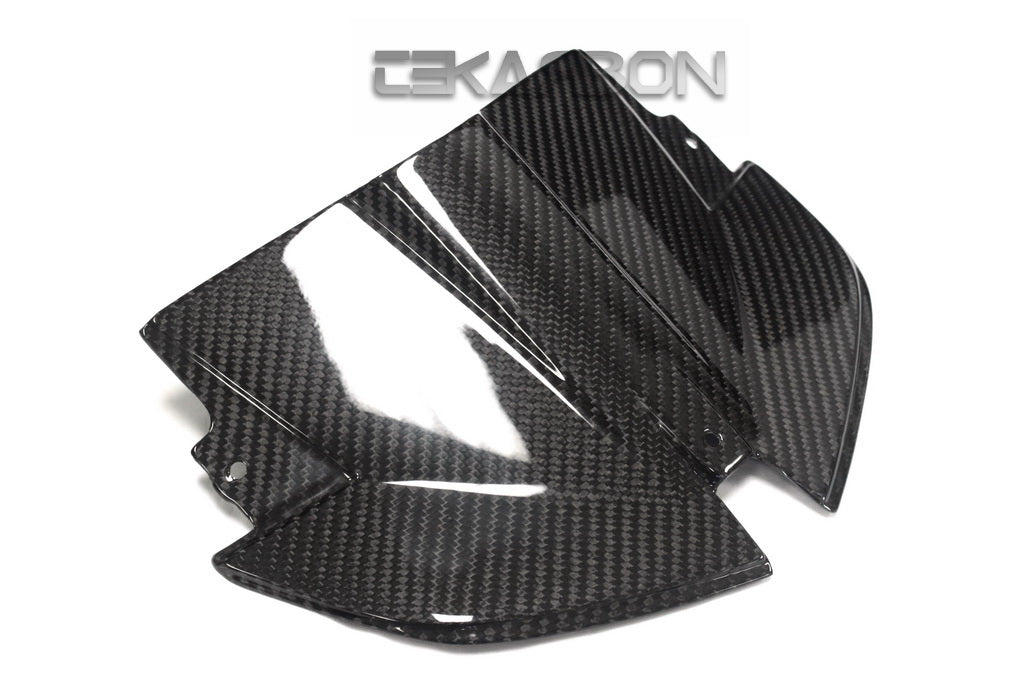 Tekarbon :: 2015 - 2018 BMW S1000XR Carbon Fiber Front Under Panel
